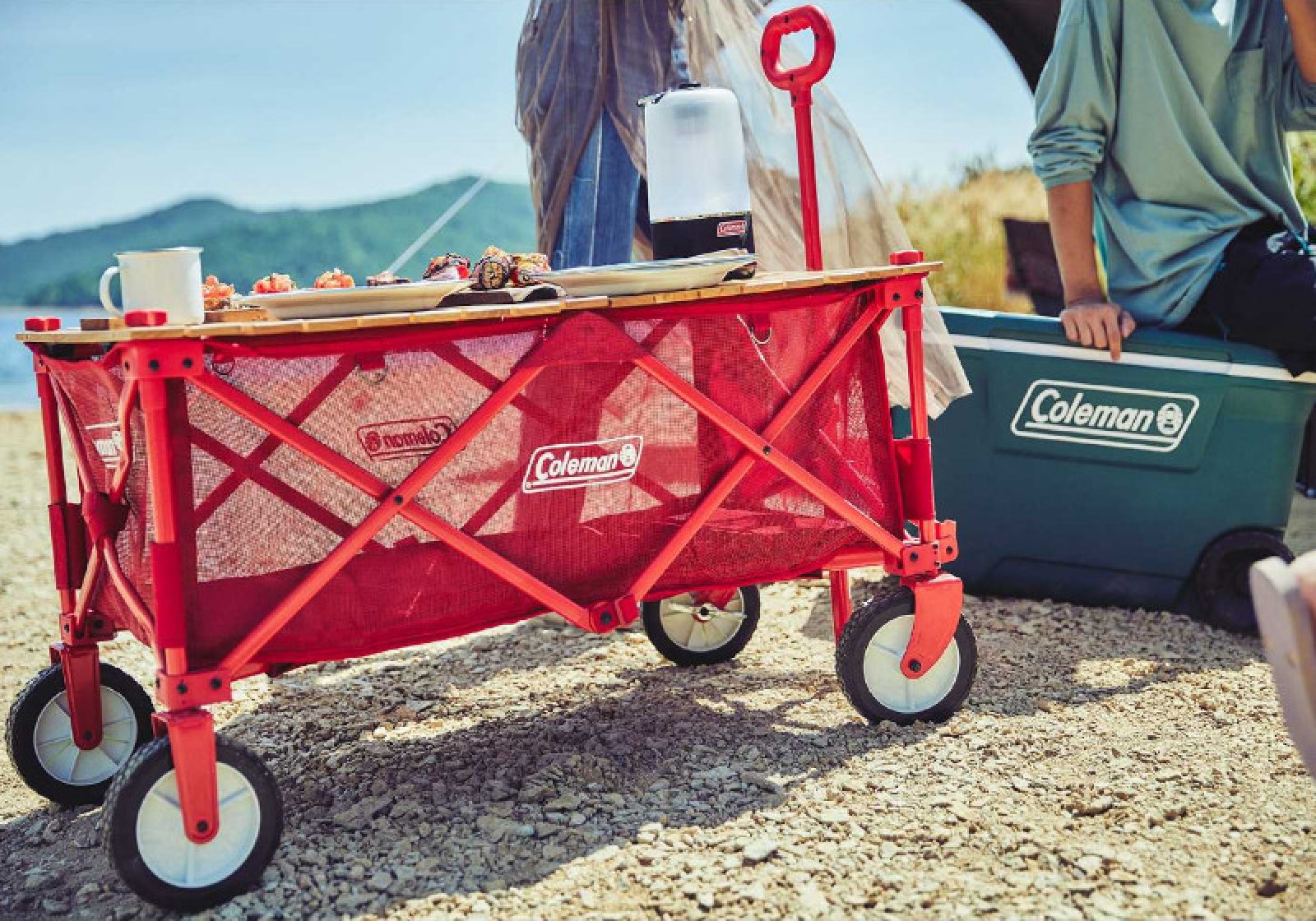 Coleman Coolers